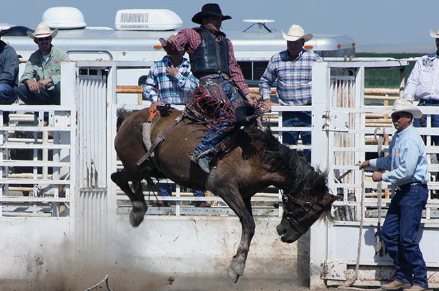 Contact - Southeast Weld County Fair