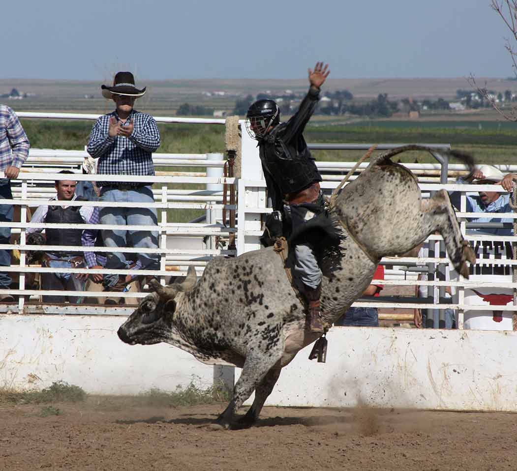 Reserve Event Space - Southeast Weld County Fair